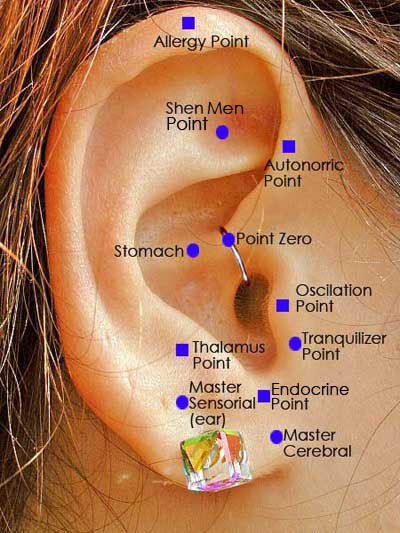 Ancient Art Massage & Bodywork, Auricular Therapy, Winter Park, FL